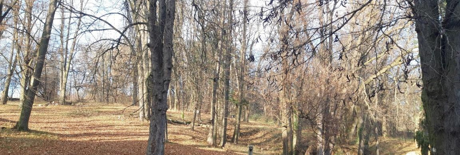 Historický park Pruské